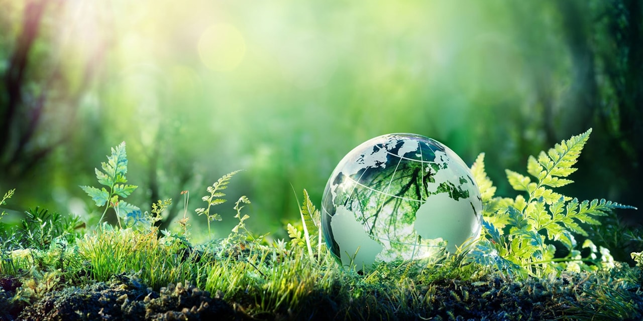 BSc (Hons) Geography and Environmental Science Course | Leeds Beckett ...