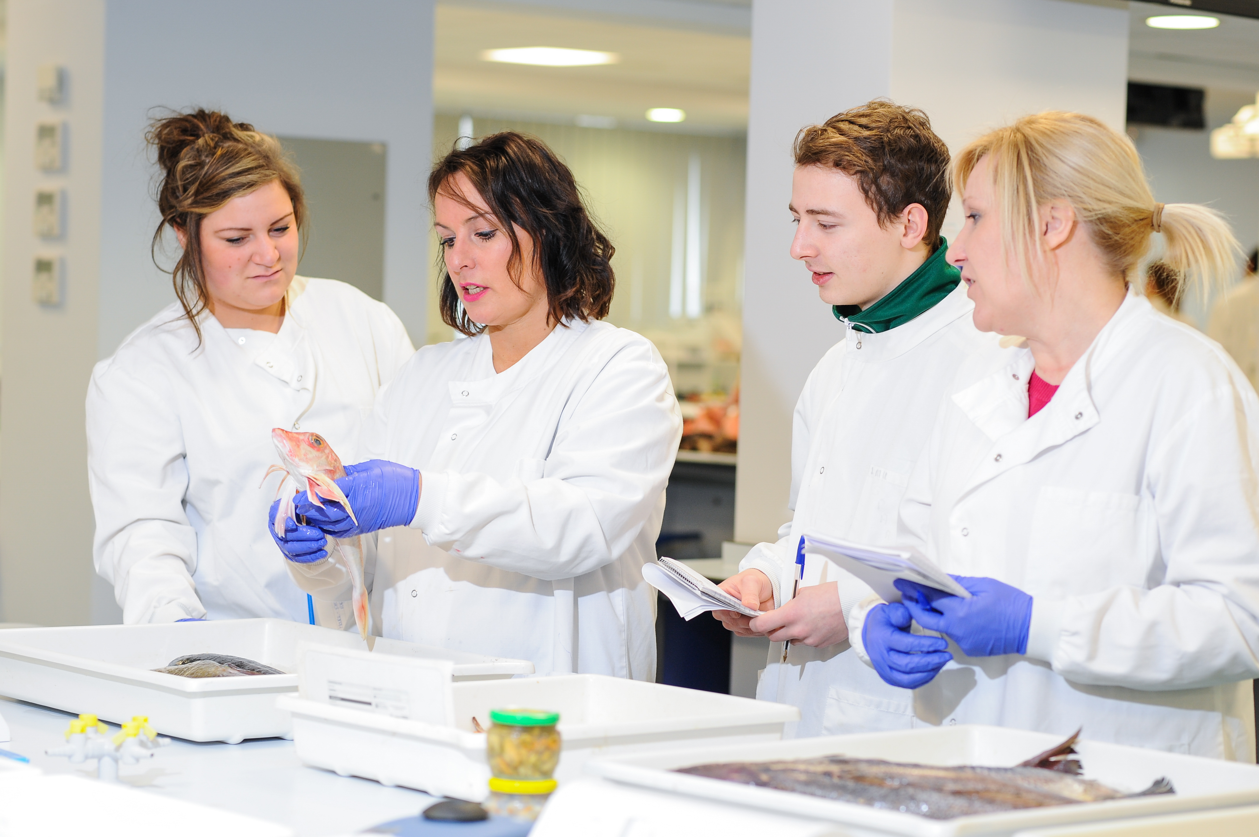Practical Food Inspection Course and CIEH Practical Food Examination ...