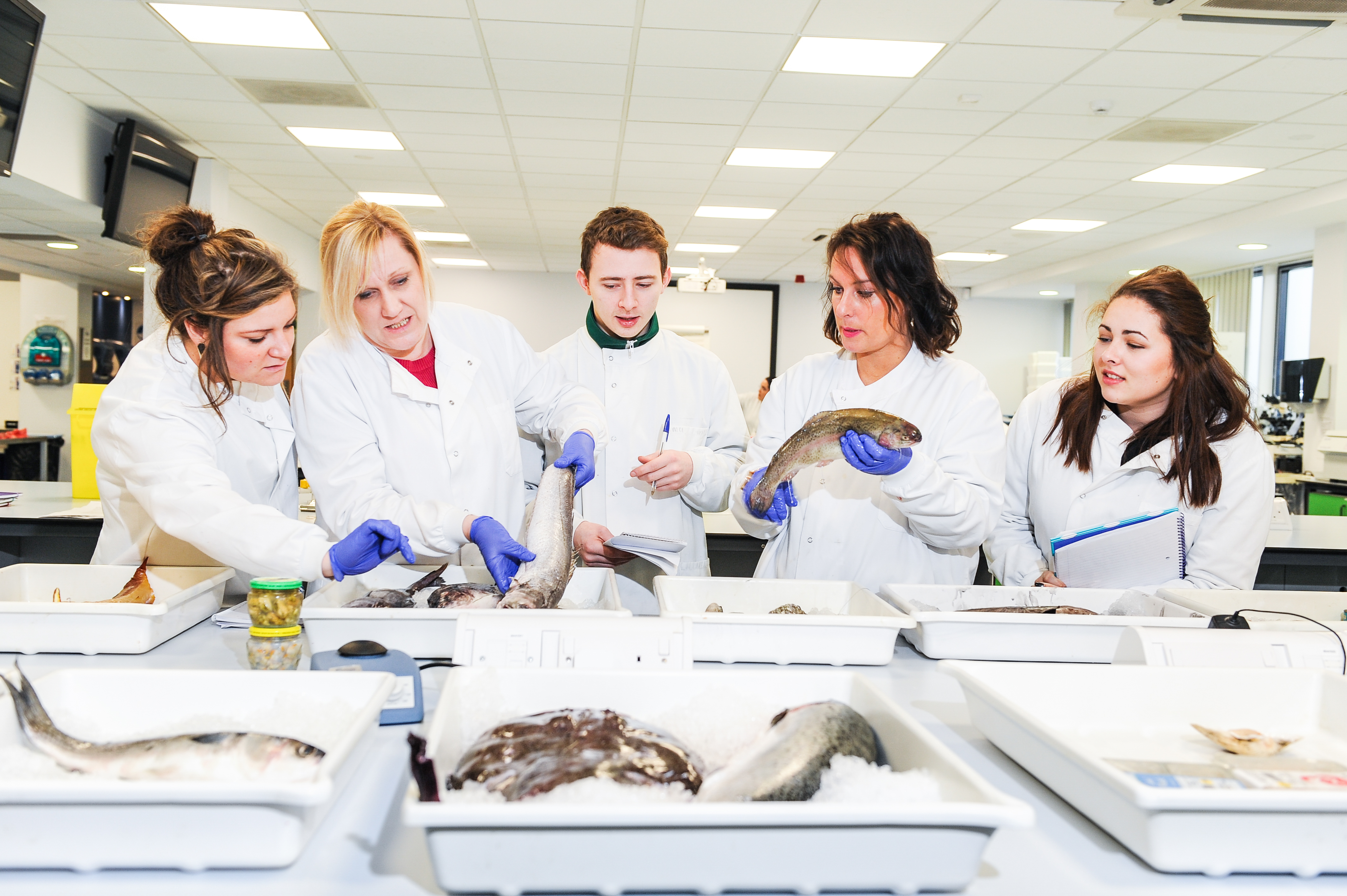 Practical Food Inspection Course and CIEH Practical Food Examination ...