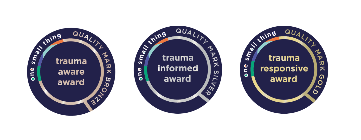 The importance of the One Small Thing "Working with Trauma" quality ...