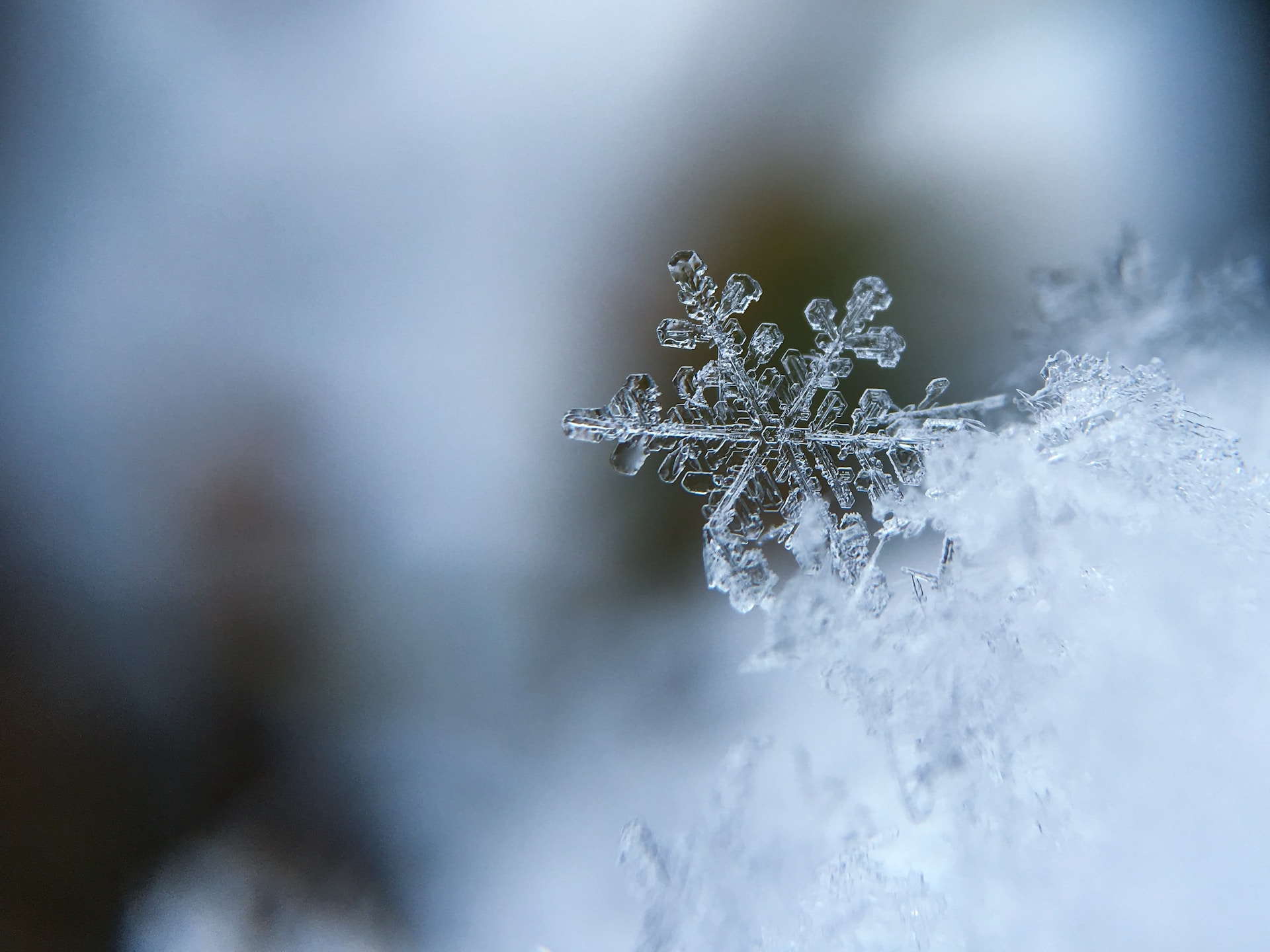 How to enjoy winter in Leeds | Leeds Beckett University