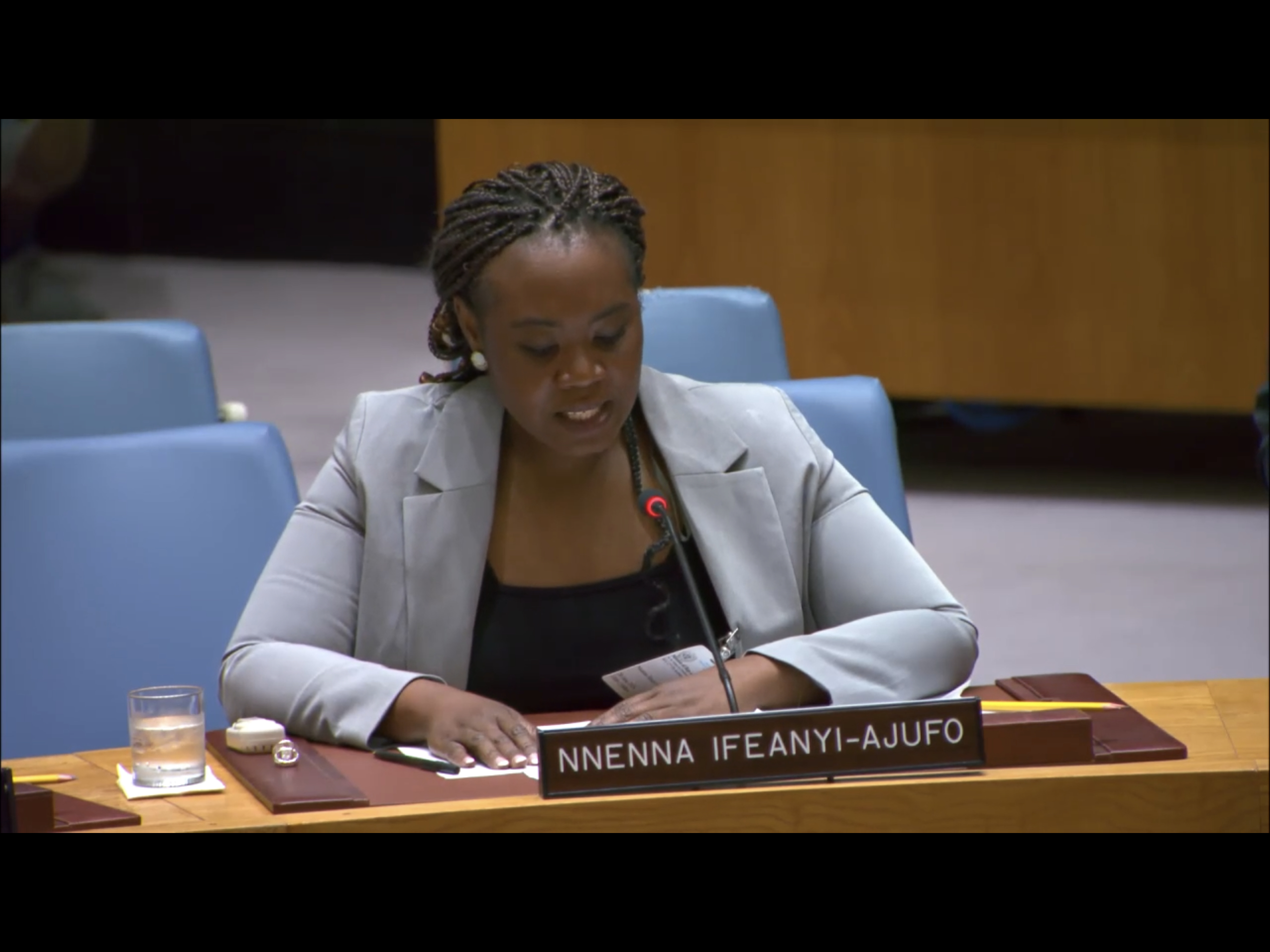 Leeds Beckett Professor addresses United Nations Security Council on ...