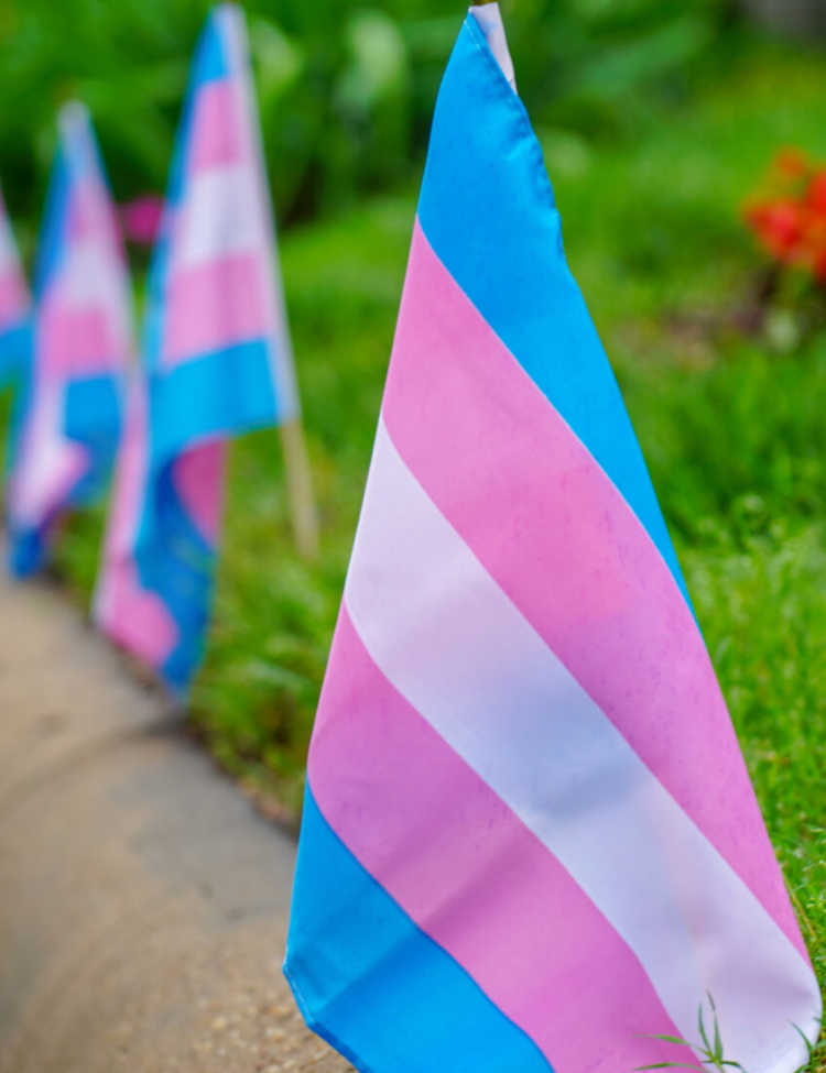 Transgender Awareness Week | Leeds Beckett University