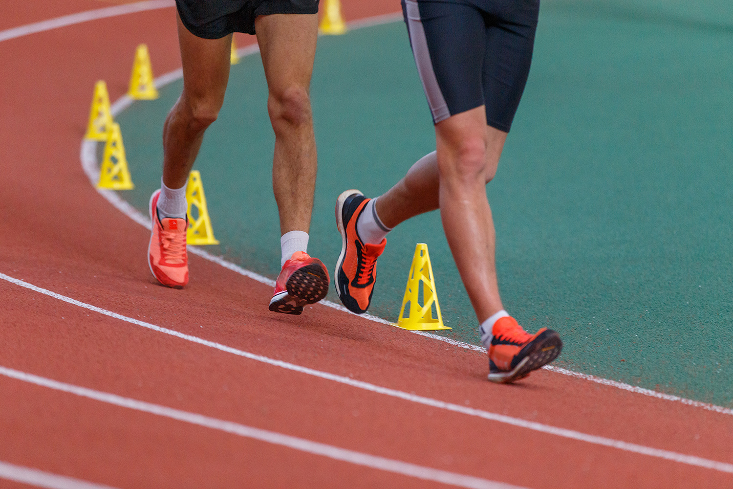Strength and muscle function assessment of the knee and ankle of elite ...