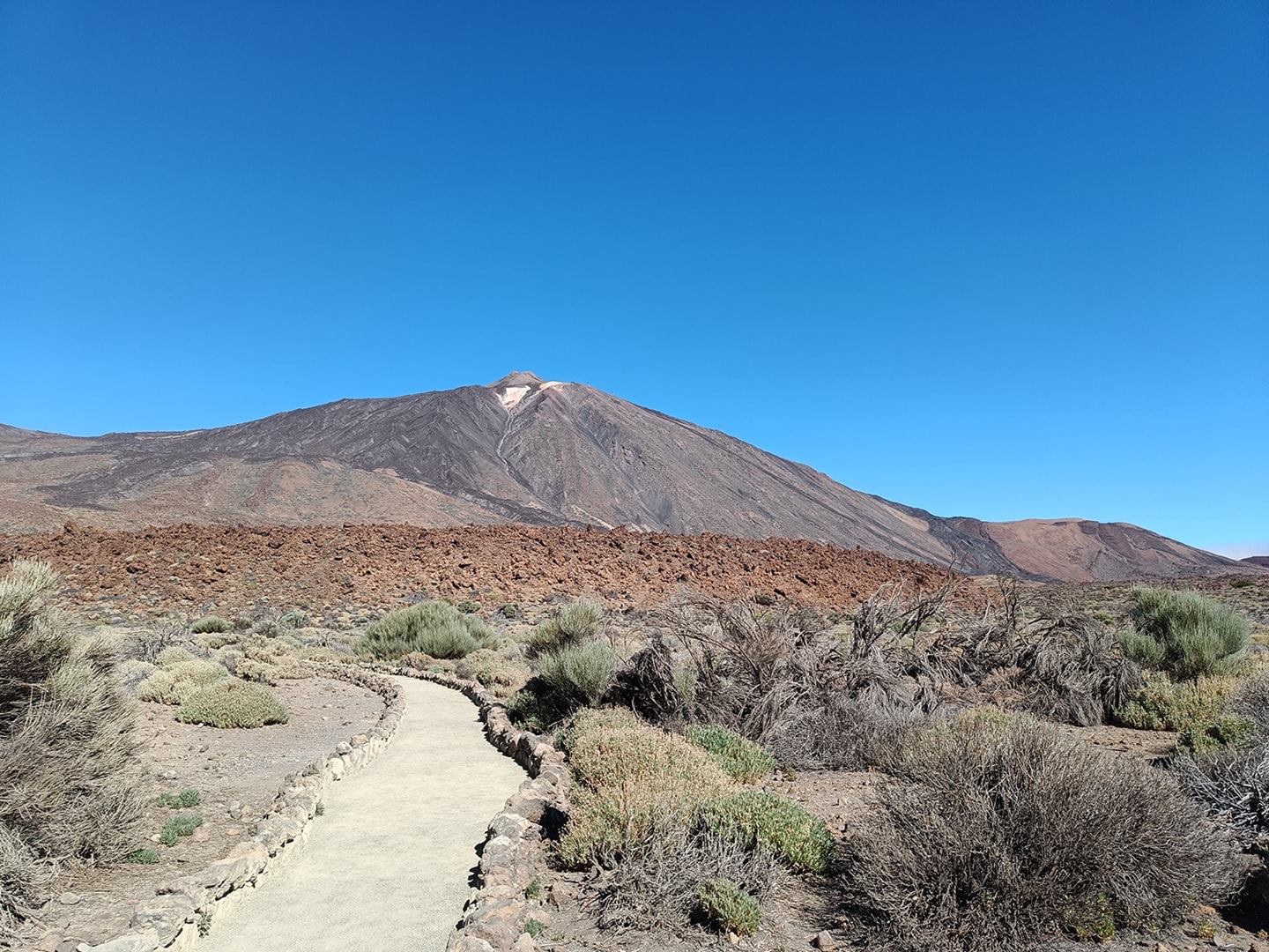 Geography field work in Tenerife | Leeds Beckett University