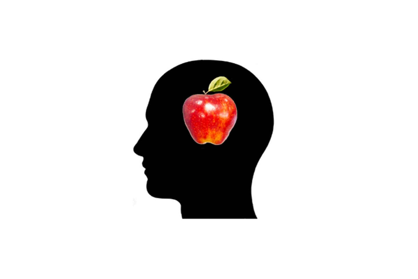 Does aphantasia protect against false memories | Human Behavioural ...
