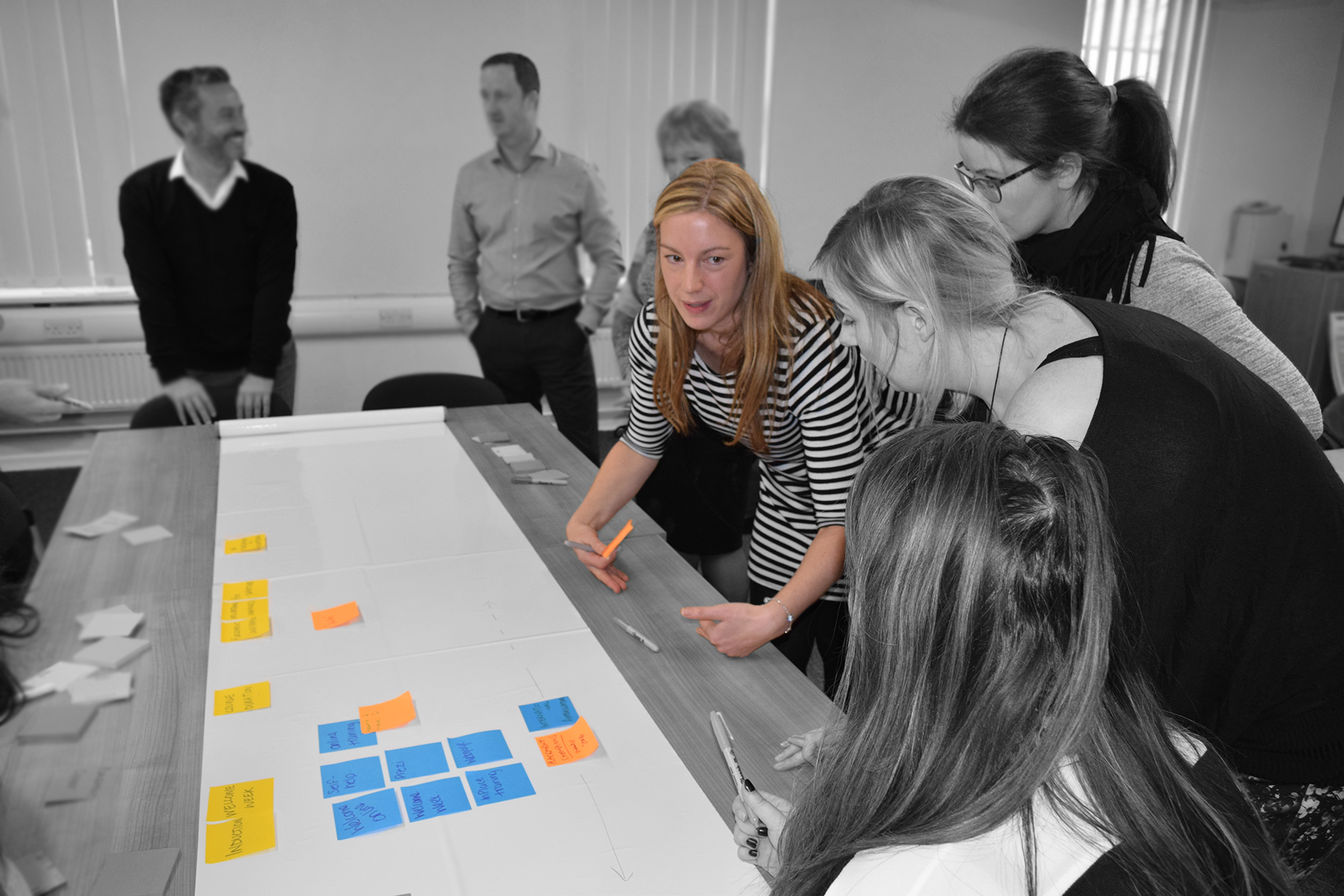 Placements | Alumni | Leeds Beckett University